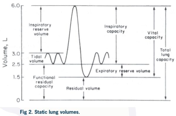 Respiratory Function Testing | RSDC